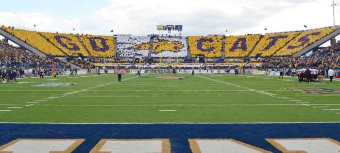 Montana State University Card Stunt – 2012 | STADIUM CARD STUNTS by ...